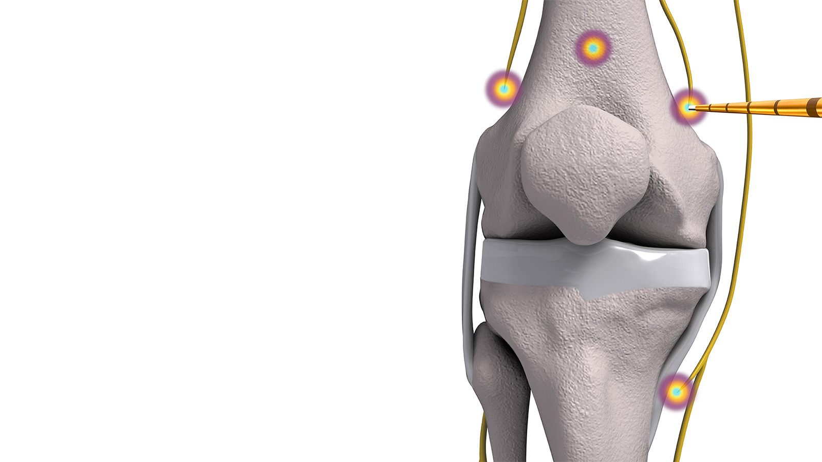 The Radiology Clinic